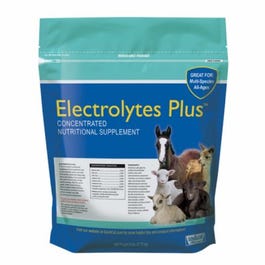 Livestock Electrolytes Plus Supplement, 6-Lbs. - Edmore, MI - Randall's ...